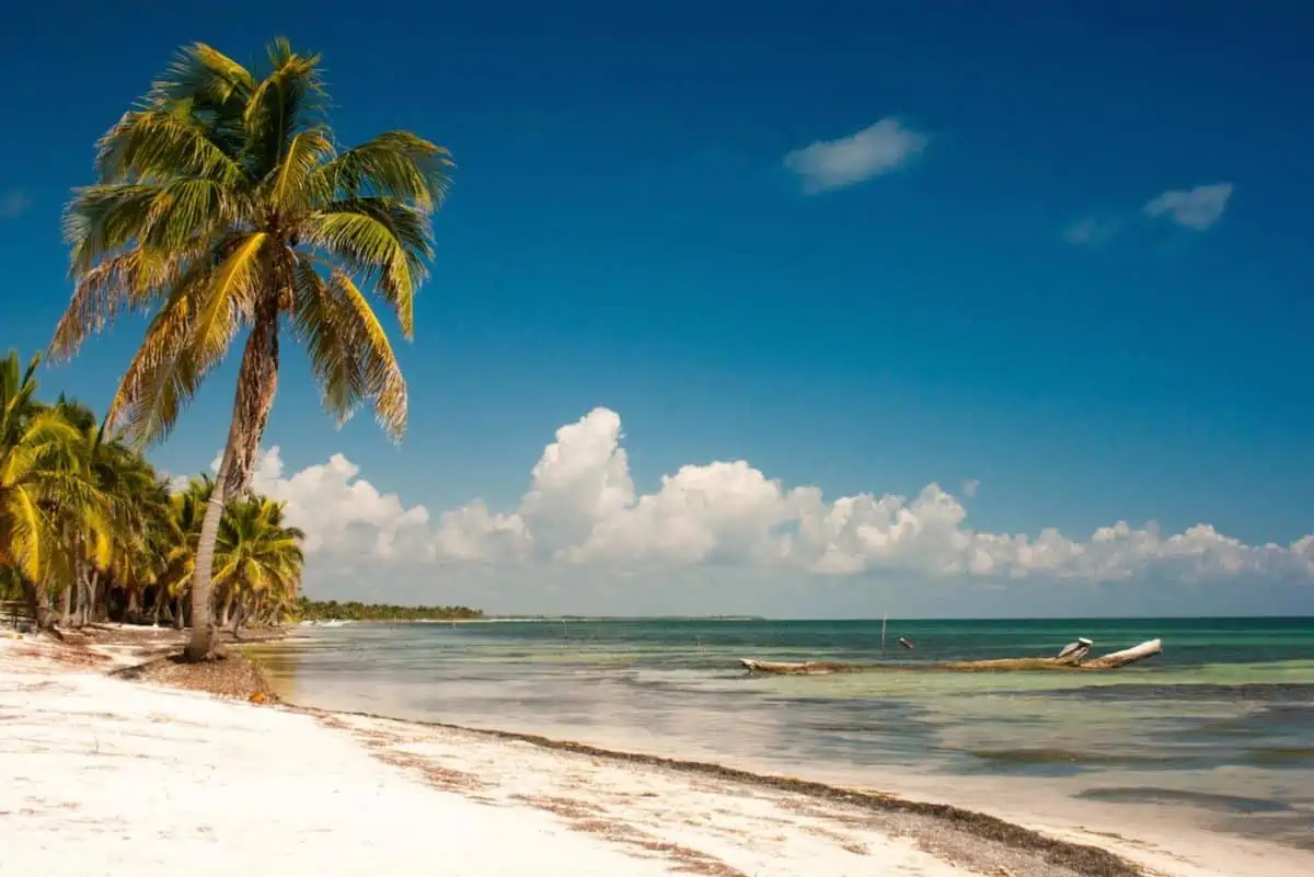 Hiking on the Beach to Punta Allen in Mexico - The Adventure Junkies