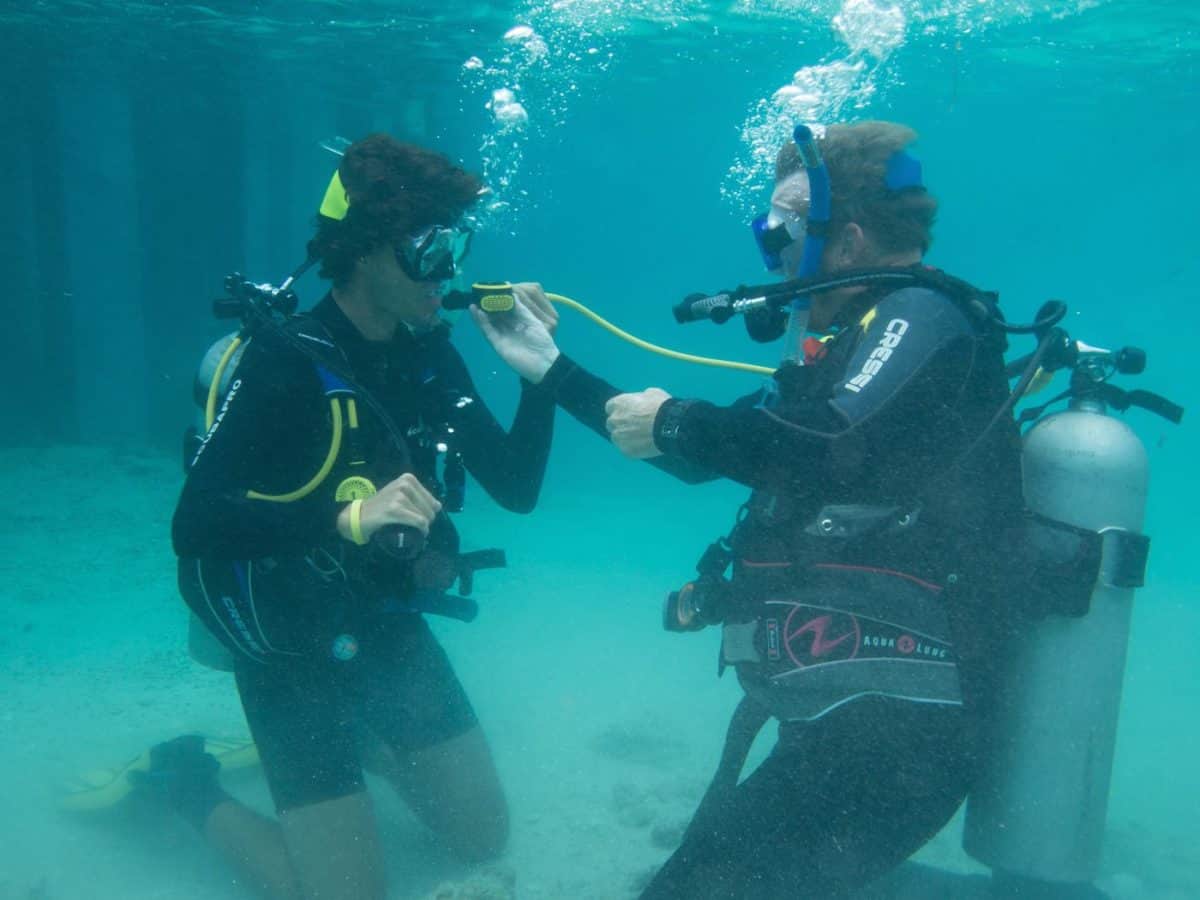 How To Become a PADI Scuba Diving Instructor in Roatan