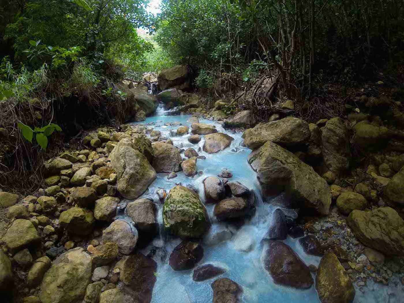 Hiking the Untamed Wilderness of Dominica - The Adventure Junkies