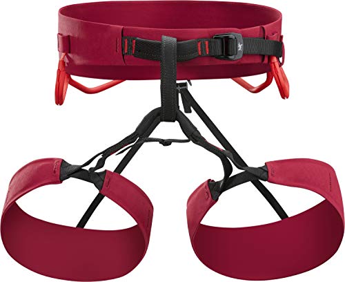 Top 10 Best Climbing Harnesses of 2022 • The Adventure Junkies