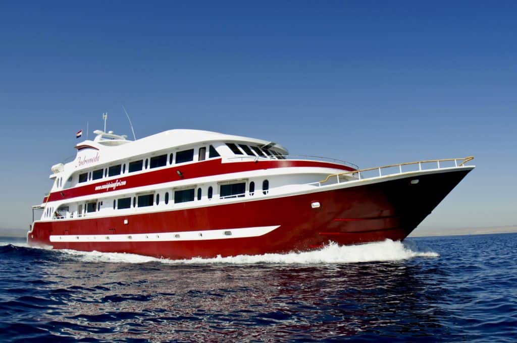Liveaboard Diving Guide to the Red Sea • The Adventure Junkies