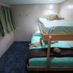 Top 5 Best Cuba Liveaboard Diving Trips • The Adventure Junkies