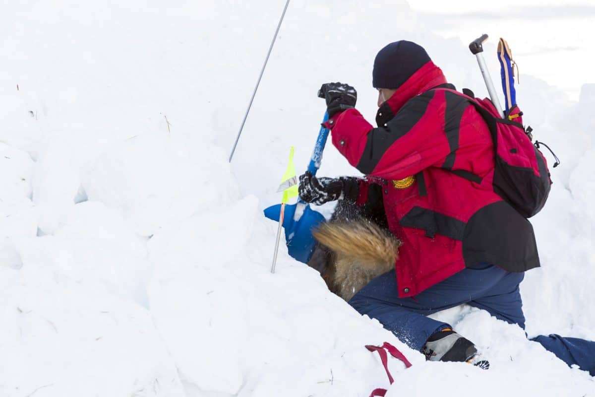 Top 5 Best Avalanche Probes of 2024 • The Adventure Junkies