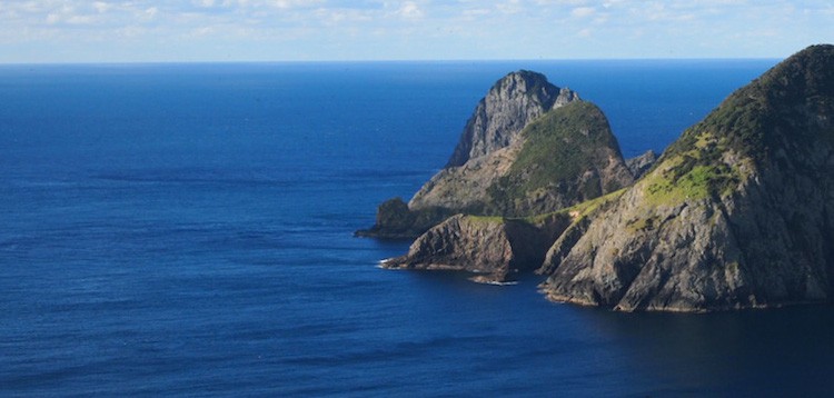 Hiking The Cape Brett Track in New Zealand - The Adventure Junkies