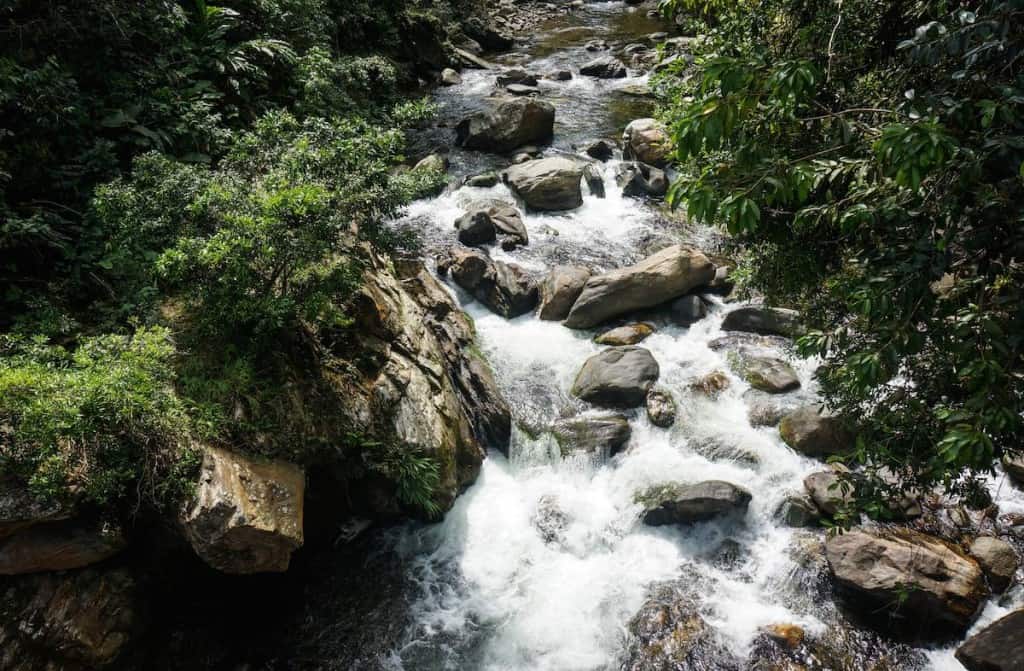Rainforest & Ruins: A Photo Journey to the Lost City