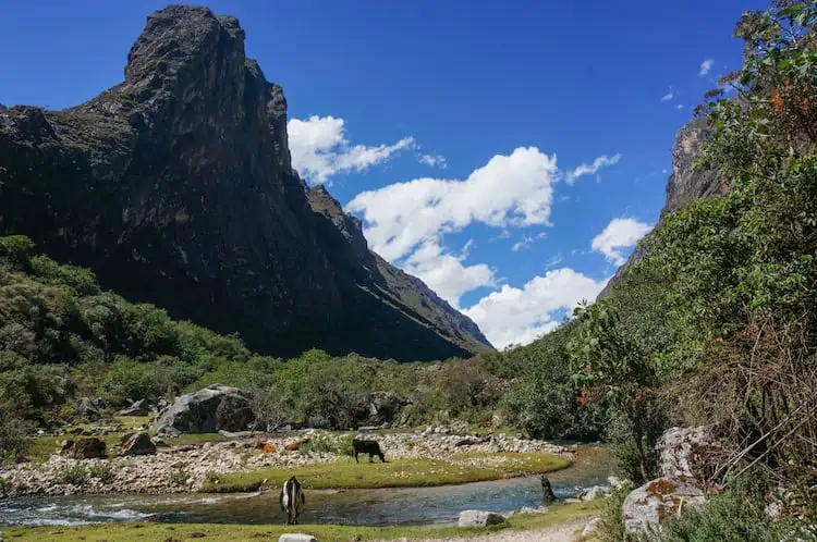 Hiking The Santa Cruz Trek in Cordillera Blanca, Peru