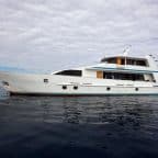 Top 2 Best Fiji Liveaboard Diving Trips • The Adventure Junkies