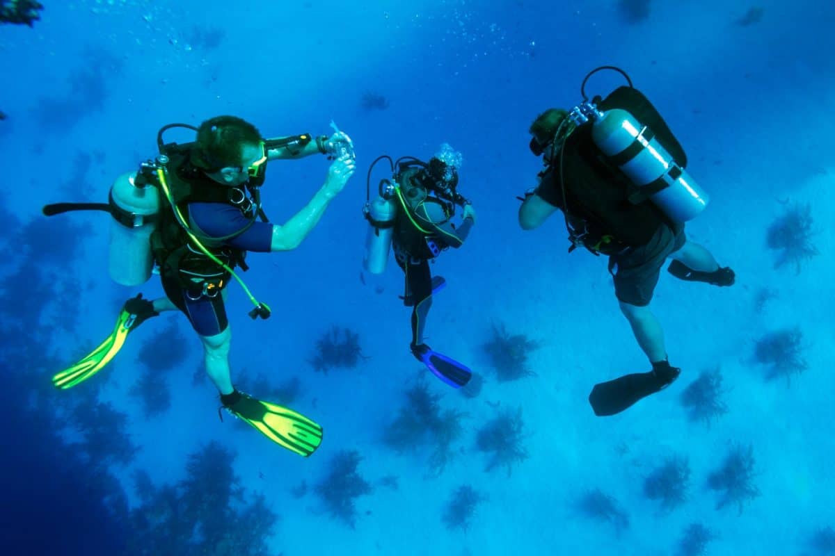 35 Awesome Scuba Diving Tips for Beginners • The Adventure Junkies