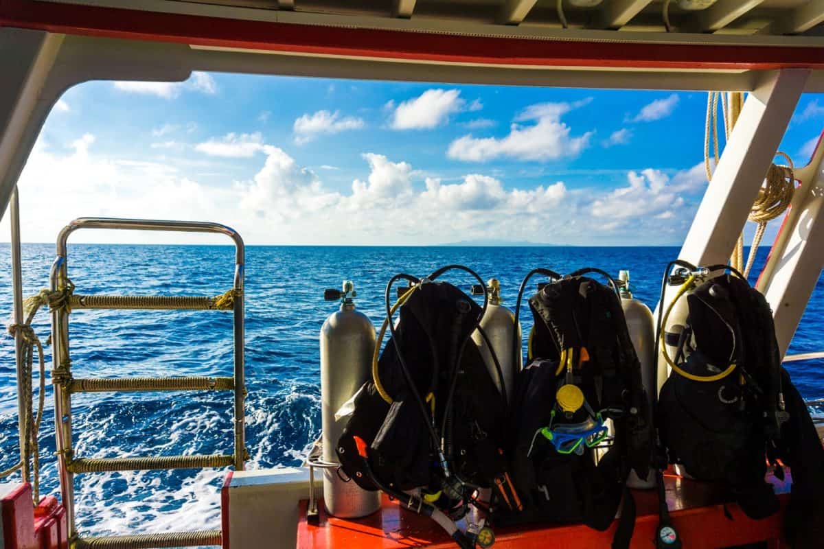 How To Get Started With Liveaboard Diving FAQ - The Adventure Junkies