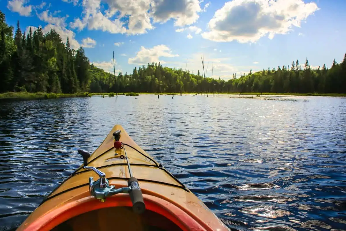 19 Awesome Kayak Fishing Tips For Beginners - The Adventure Junkies