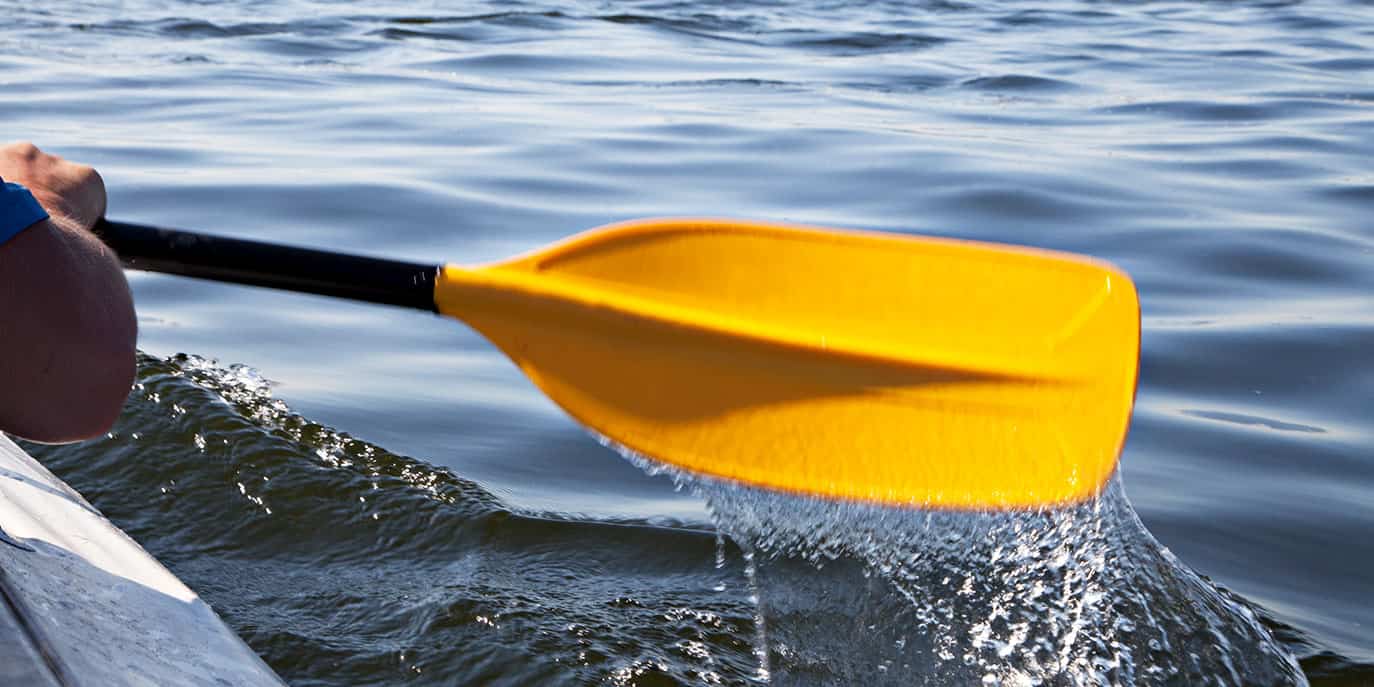 Top 10 Best Kayak Paddles of 2025 • The Adventure Junkies