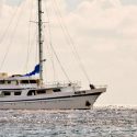 Top 2 Best Fiji Liveaboard Diving Trips • The Adventure Junkies