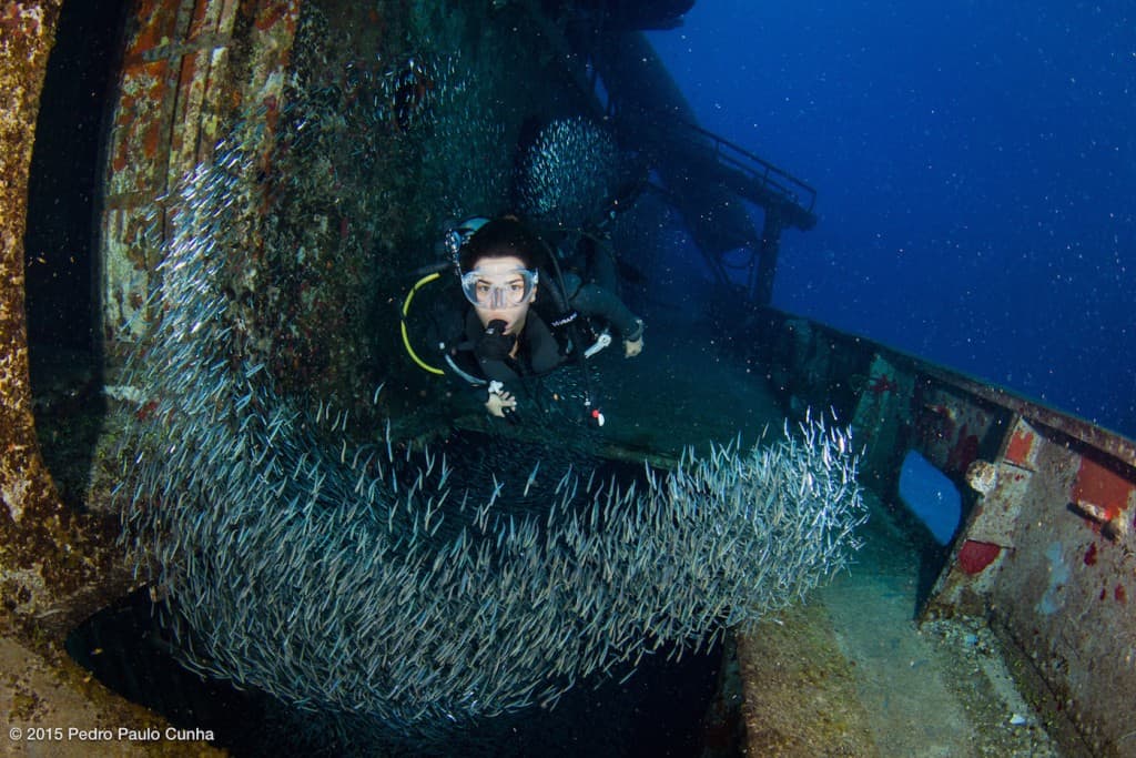 Top 10 Best Scuba Diving in the Caribbean • The Adventure Junkies
