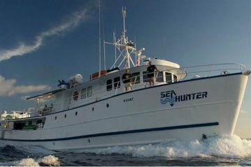 Liveaboard Diving Guide to the North Pacific • The Adventure Junkies