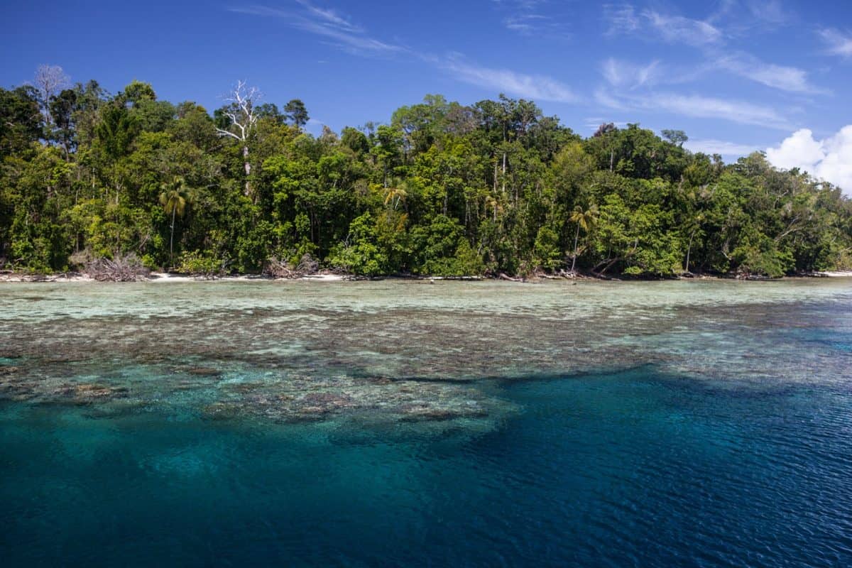 Top 2 Best Solomon Islands Liveaboard Trips • The Adventure Junkies