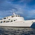 Top 10 Best Luxury Diving Liveaboard Trips • The Adventure Junkies