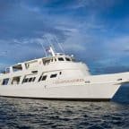 Top 10 Best Luxury Diving Liveaboard Trips • The Adventure Junkies