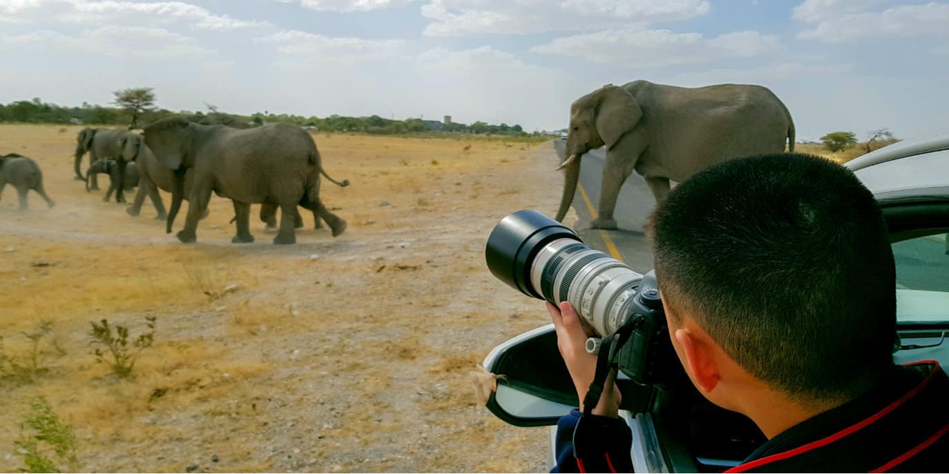 Best Lenses For Wildlife Photography of 2024 • The Adventure Junkies