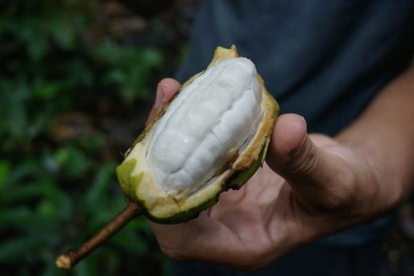 22 Photos That Will Transport To The Amazon Rainforest