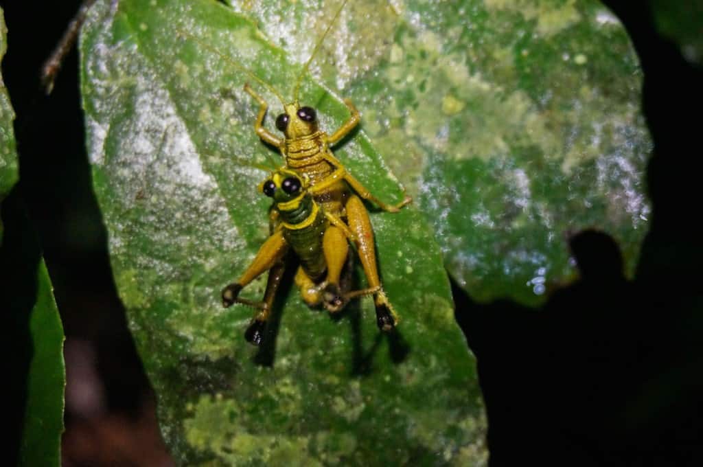 22 Photos That Will Transport To The Amazon Rainforest