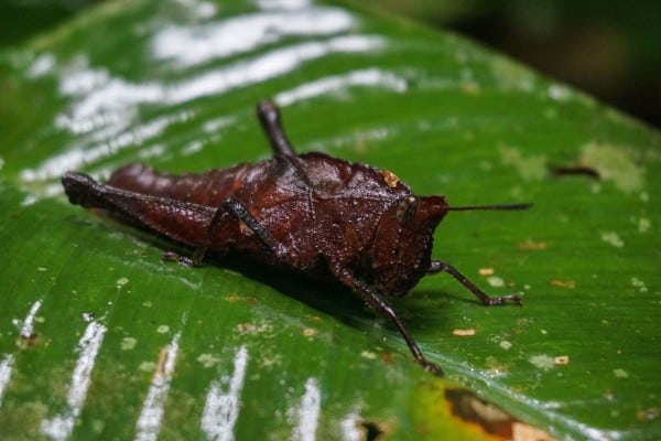 22 Photos That Will Transport To The Amazon Rainforest