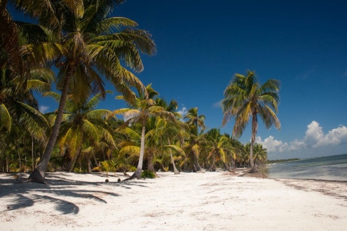 Hiking on the Beach to Punta Allen in Mexico - The Adventure Junkies