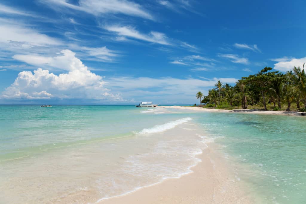 Top 3 Best Cocos Island Liveaboard Diving Trips • The Adventure Junkies